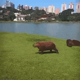 Cool gifs. Issue 2695 » Nevsedoma