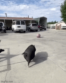 Cool gifs. Issue 2695 » Nevsedoma