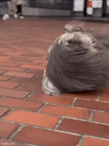 Cool gifs. Issue 2695 » Nevsedoma